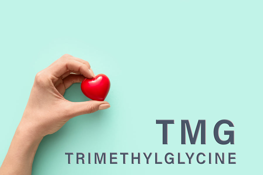 Understanding TMG Supplementation: Benefits and Risks – KekaNaturals